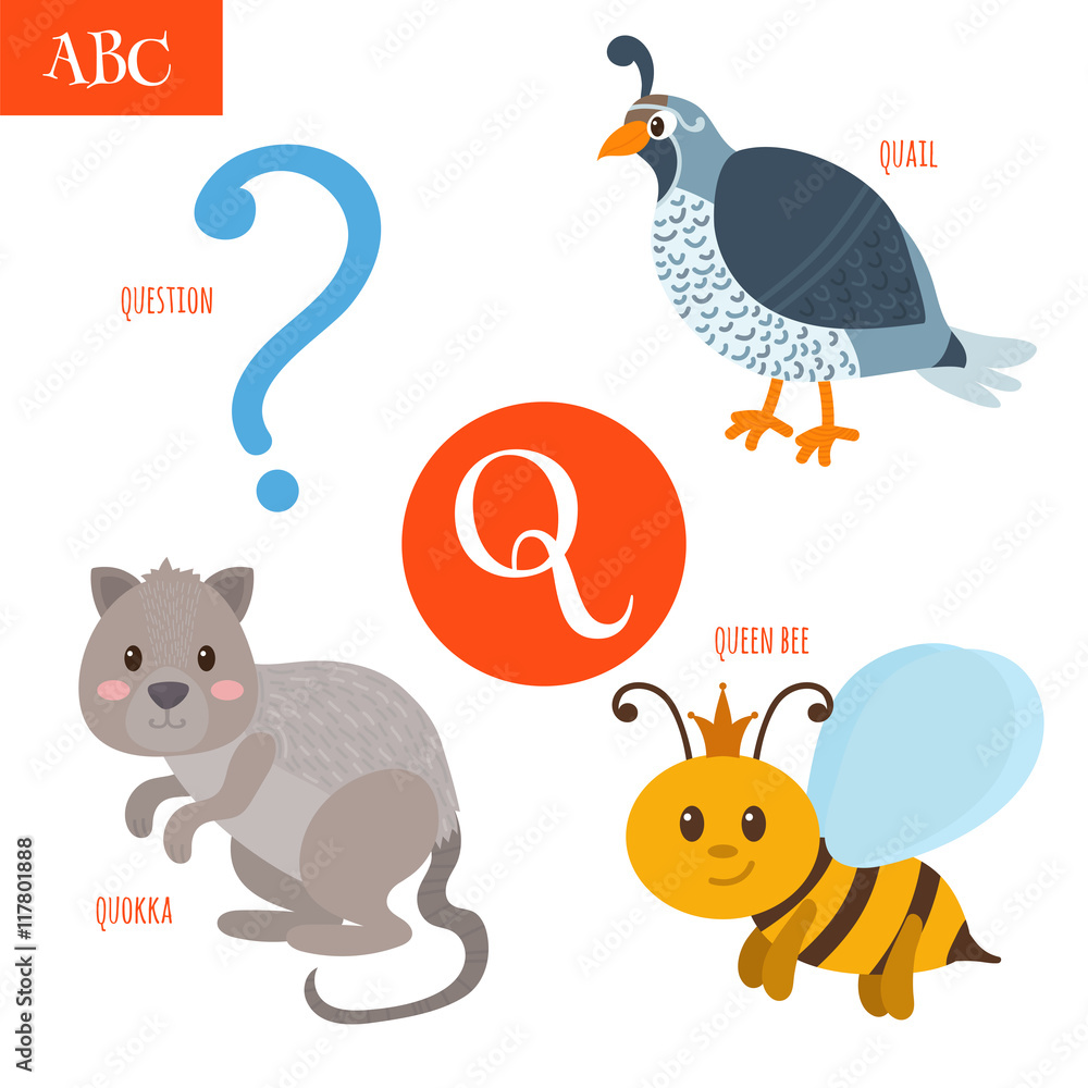 Letter Q. Cartoon alphabet for children. Quail, question, queen Stock ...