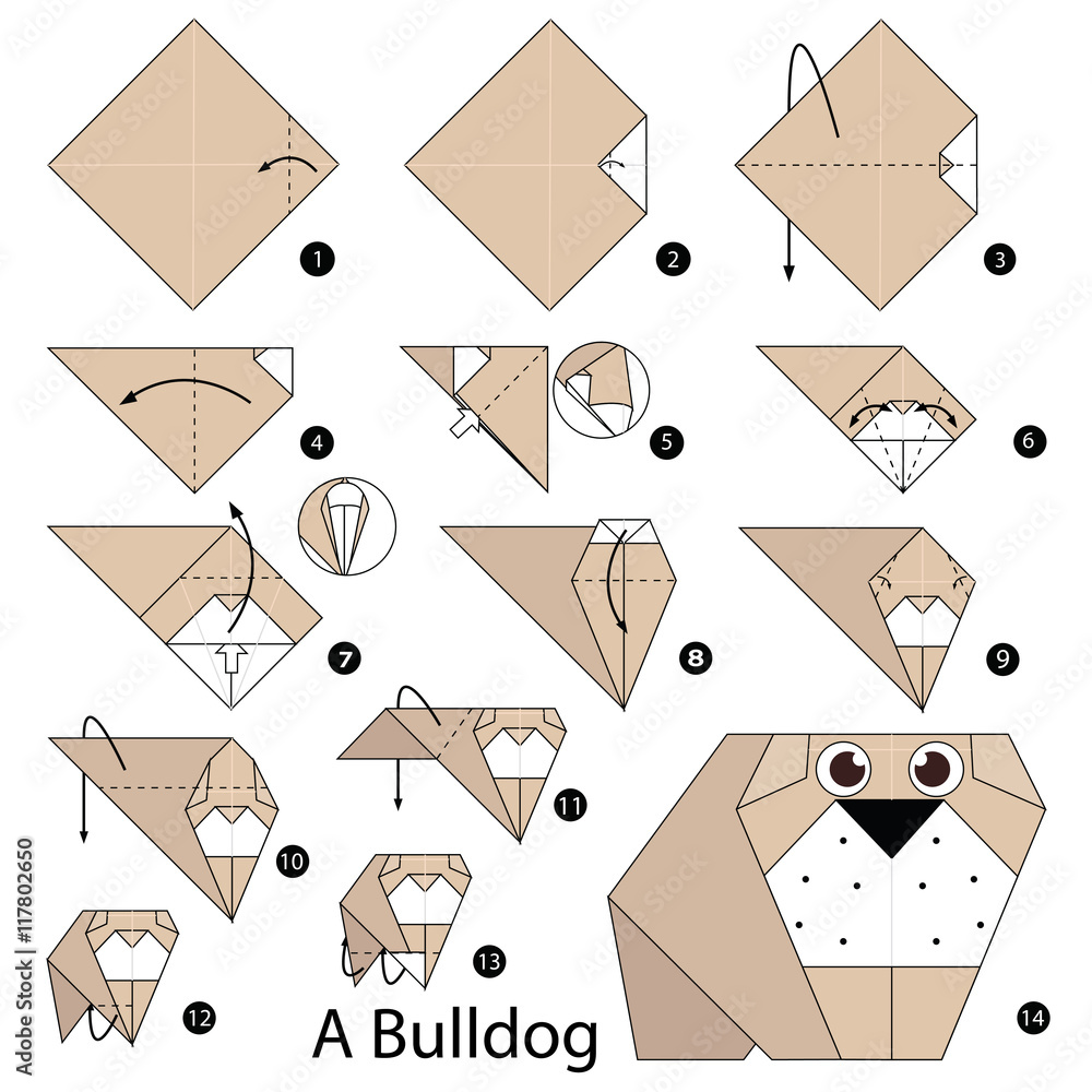 Step by step instructions how to make origami A Bulldog. Stock Vector ...