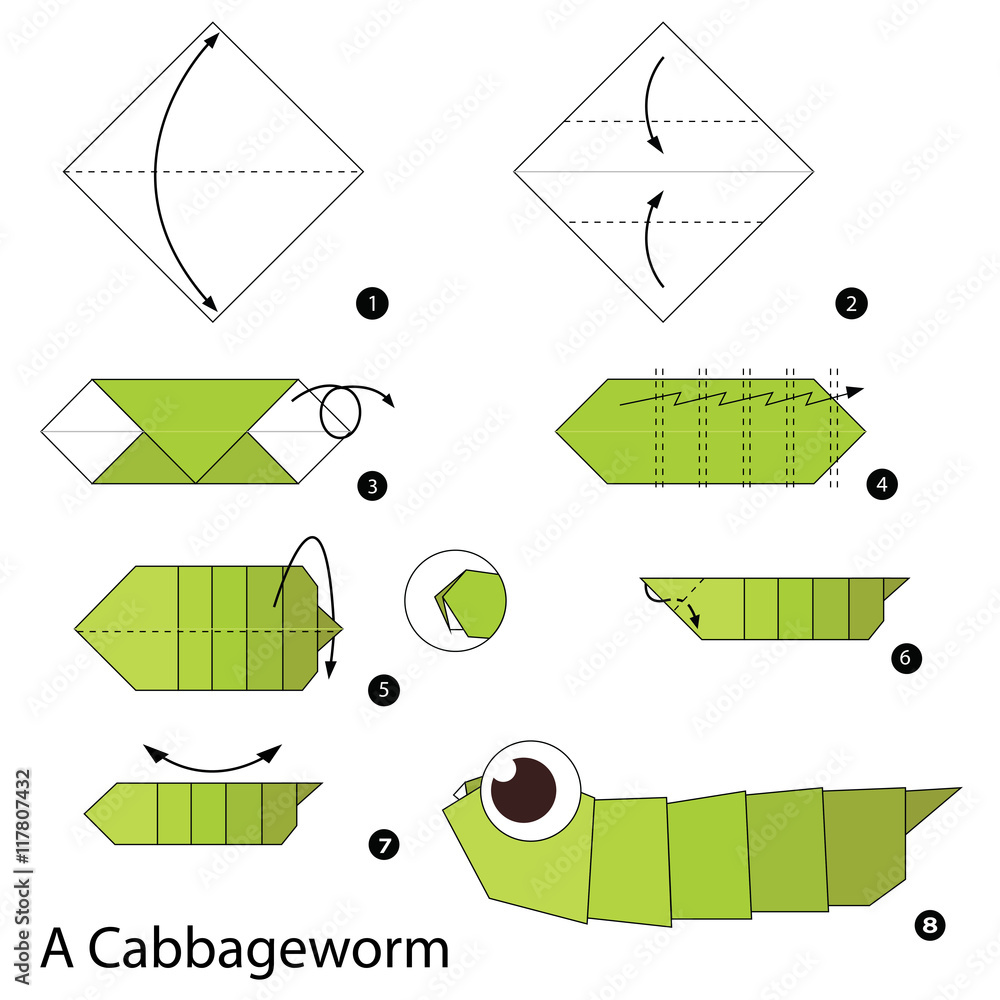 Step by step instructions how to make origami A Worm. Stock Vector ...