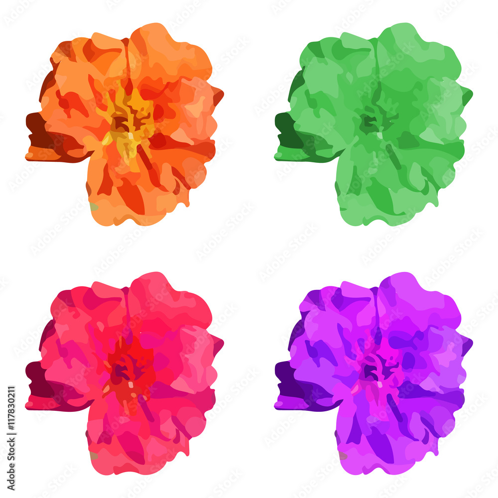 Isolated and water colored "Mexican Rose" set (or Rock Rose, Sun Rose ...