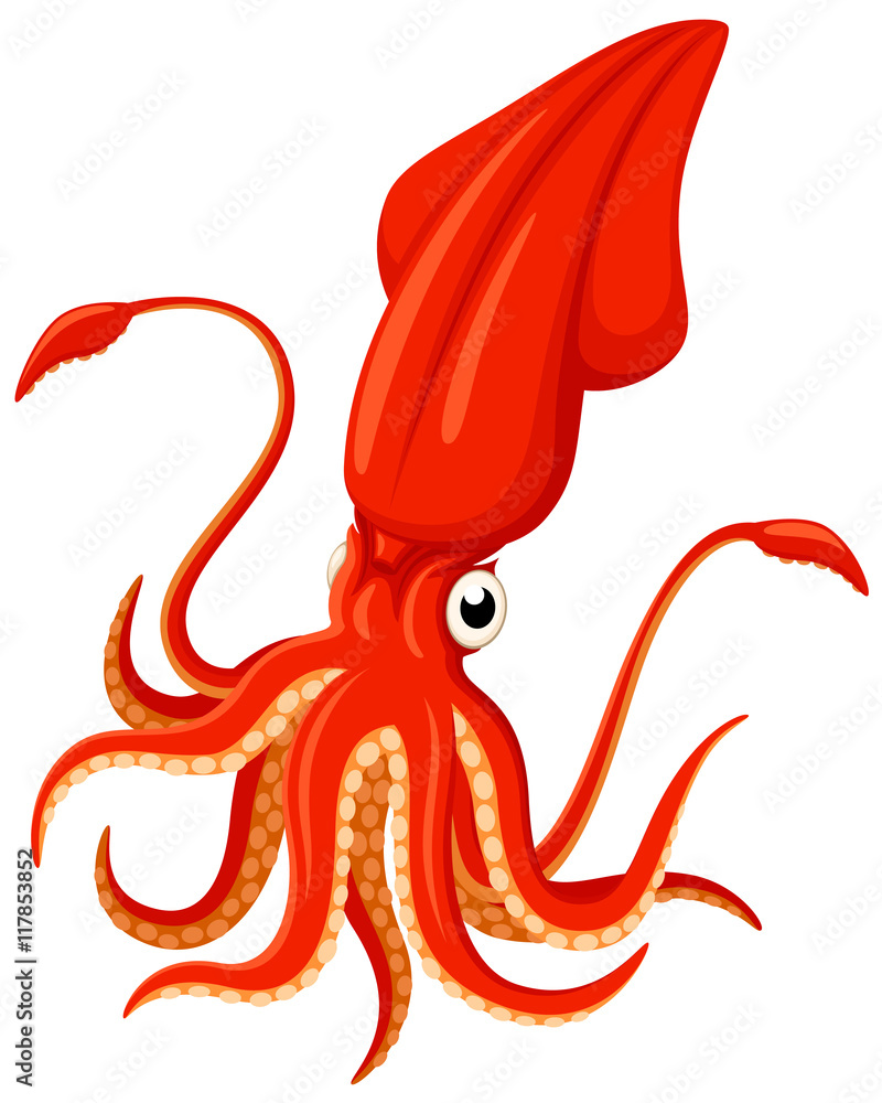 Vector illustration of a bright orange cartoon squid. Stock Vector ...