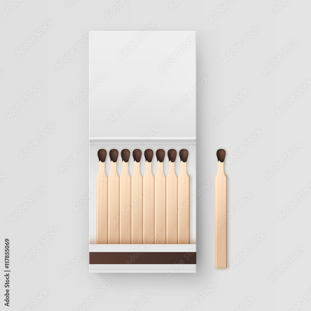 Opened Blank Book Of Matches Isolated on White Background Stock Vector ...