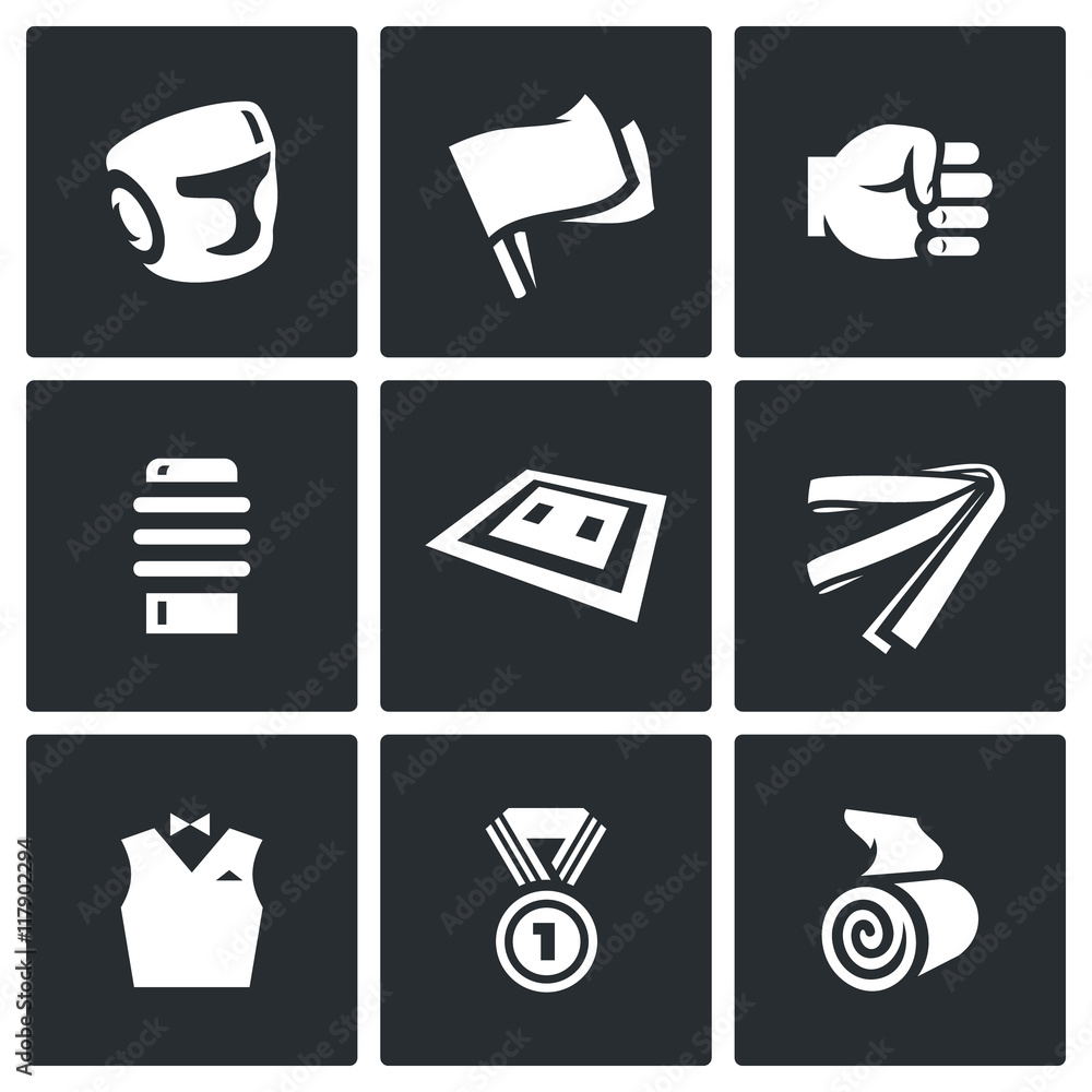 Vetor de Vector Set of Karate Icons. Helmet, Flags, Fist, Makiwara ...