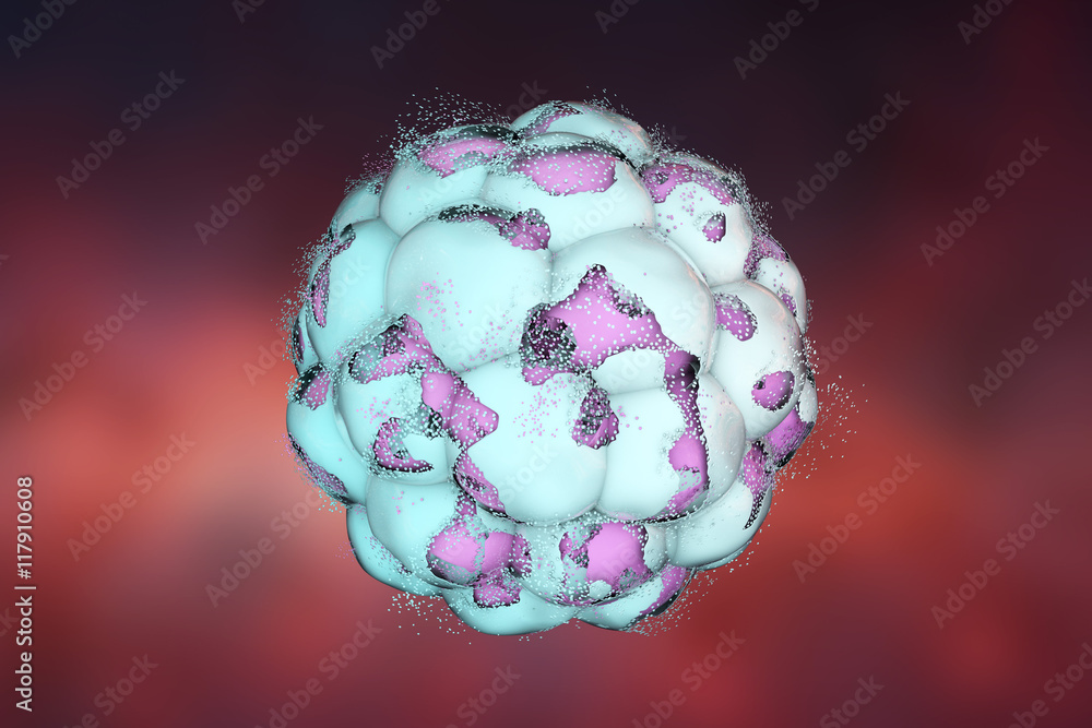 Destruction of a human embryo. 3D illustration which can be used to ...