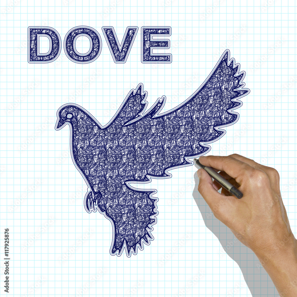 The dove is drawn with a pen. Hand painting of a dove in a school ...