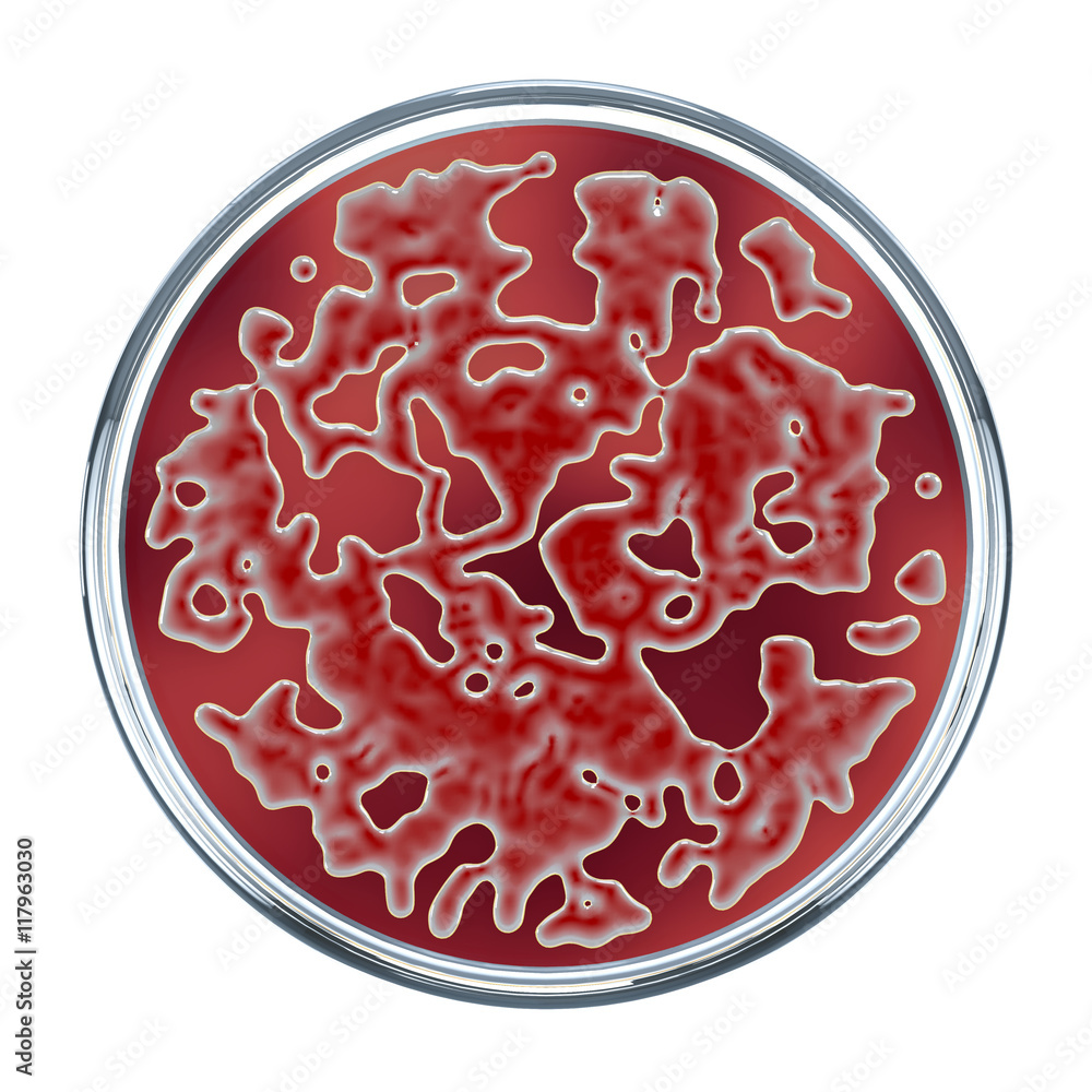 3D illustration, render.Bacteria red colonies on petri dish, iso Stock ...