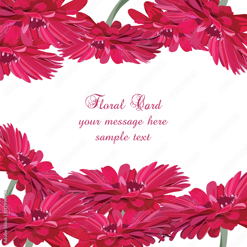 Gerbera pink flower card. Vector floral background for greetings ...