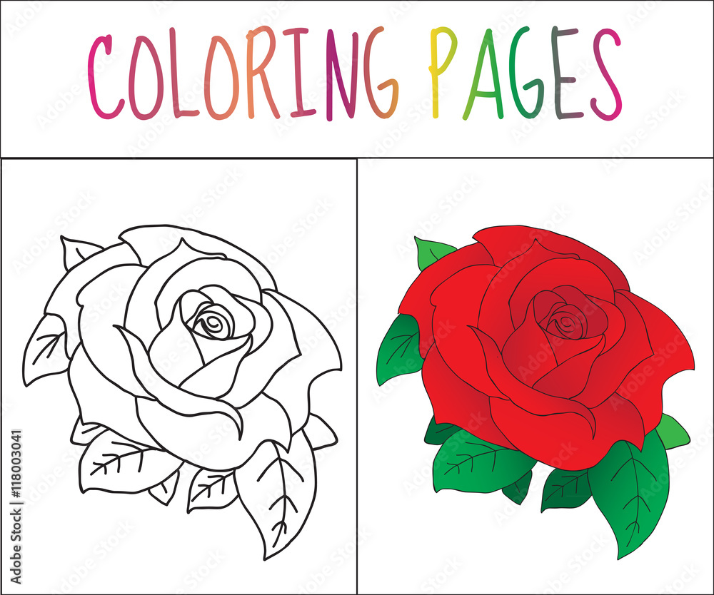 Coloring book page, Rose. Sketch and color version. Coloring for kids ...