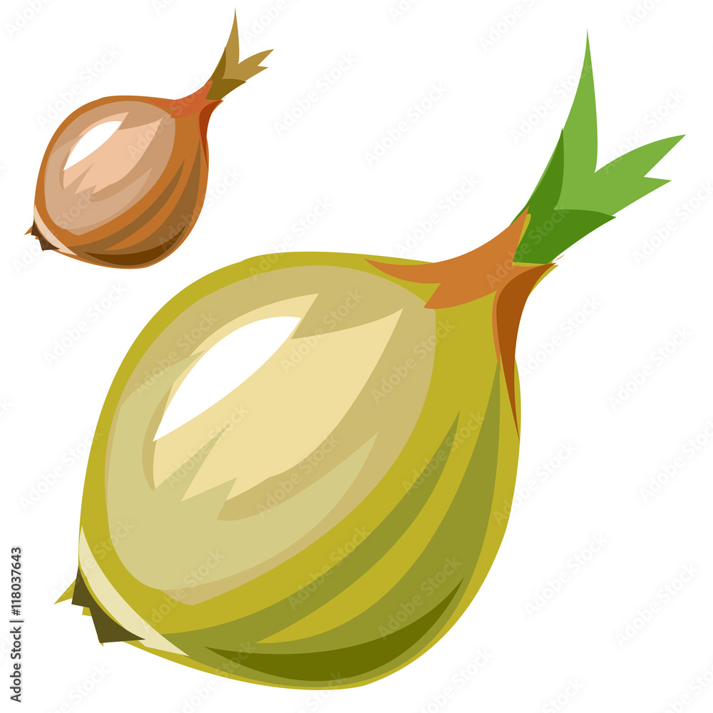 Ripe delicious onion closeup in cartoon style Stock Vector | Adobe Stock