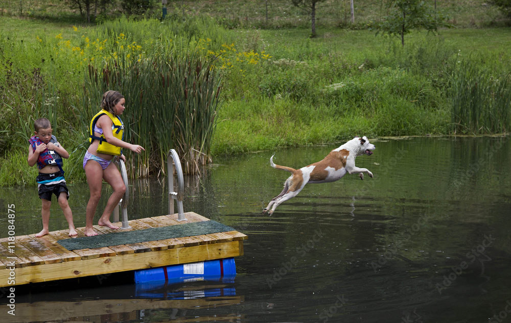 Diving In Dog Pond
