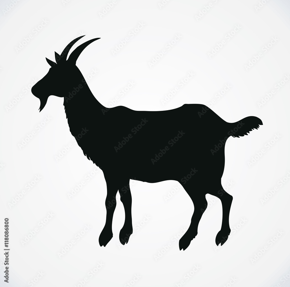 Goat. Vector drawing Stock Vector | Adobe Stock