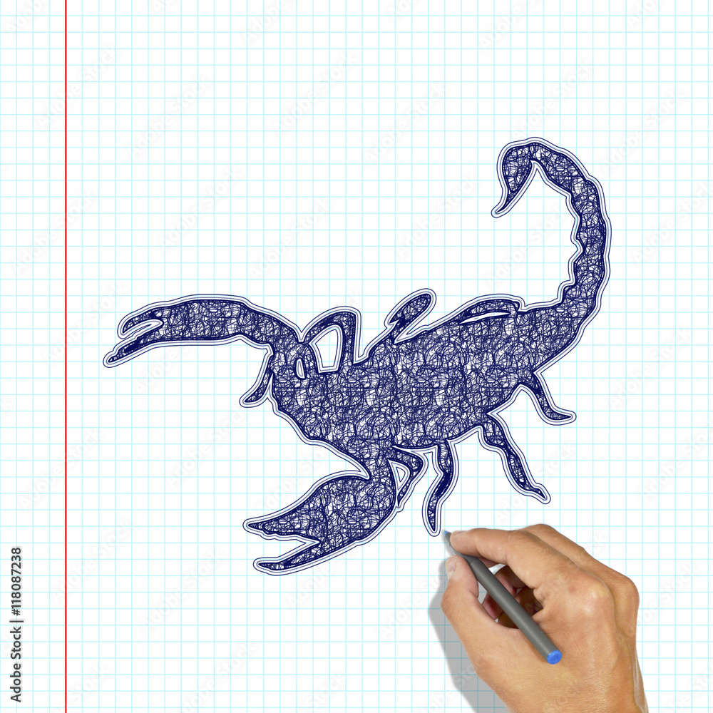 Scorpion is drawn with a pen. Hand drawing of a Scorpion in a school ...