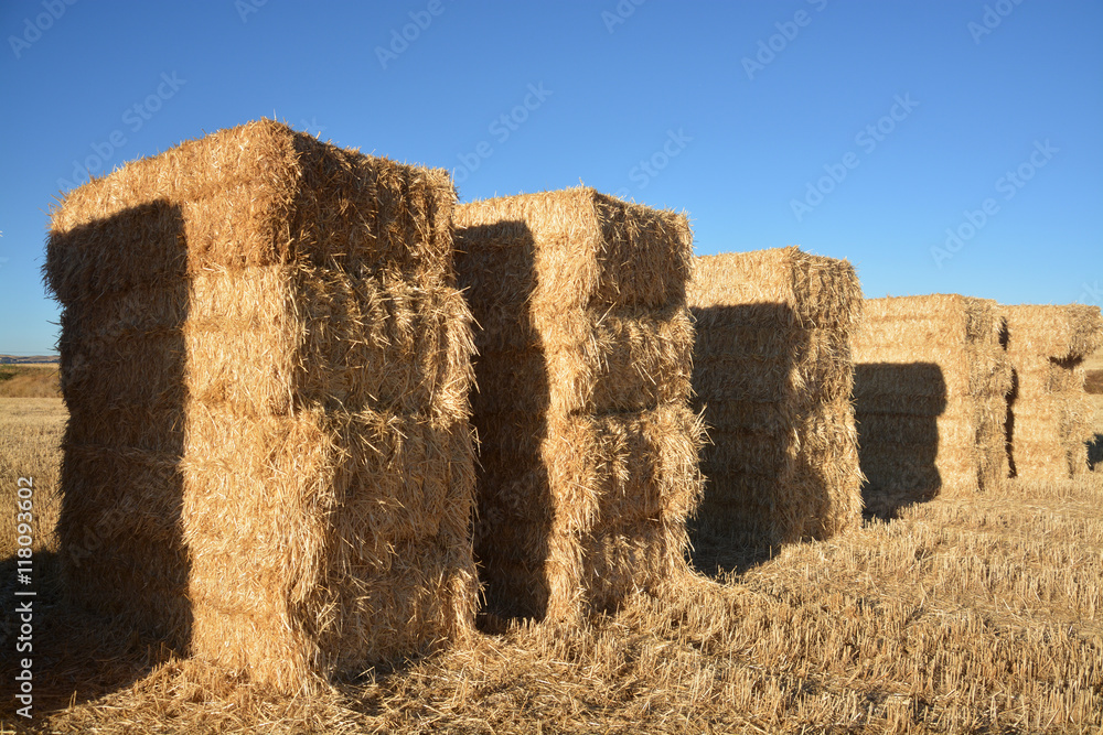 fardos de paja Stock-Foto | Adobe Stock