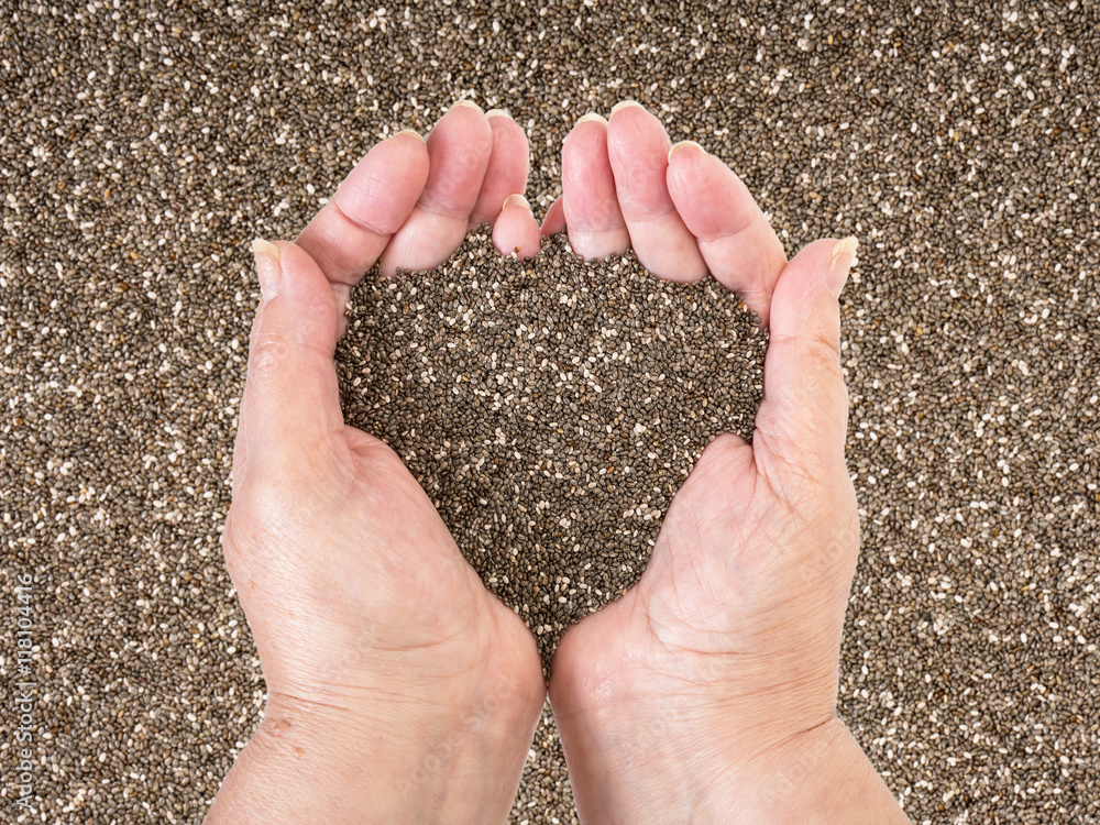 Shia seeds held by a woman hands over a chia seed background Stock ...