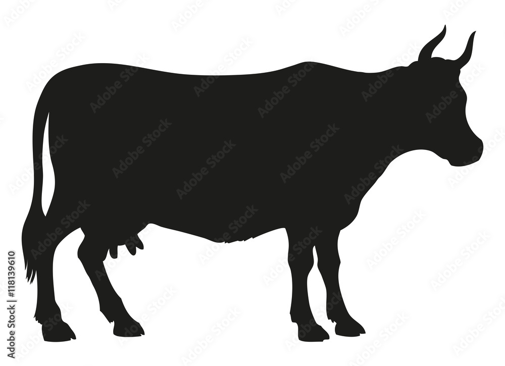 Cow. Vector drawing Stock Vector | Adobe Stock