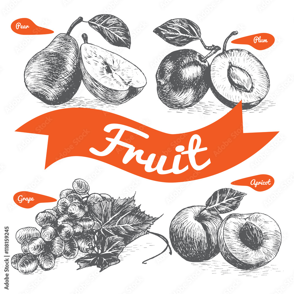 Vector illustration black and white set with fruits Stock Vector ...