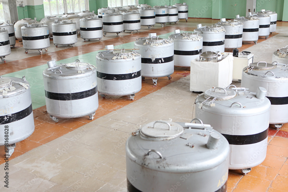 Poster Liquid nitrogen laboratory – Tableau | Europosters