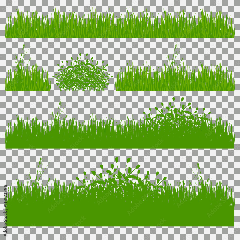 grass, shrubs. A set of various types of grass. Set of grass on a ...
