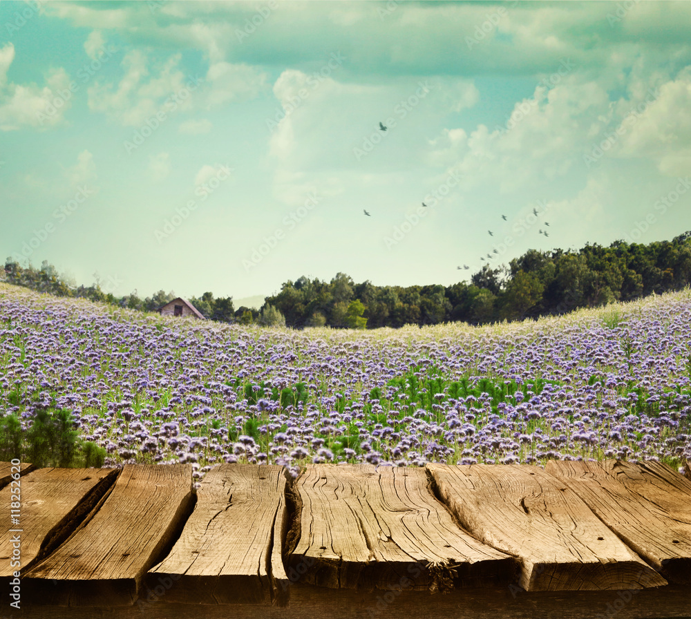 Nature background Stock Photo | Adobe Stock