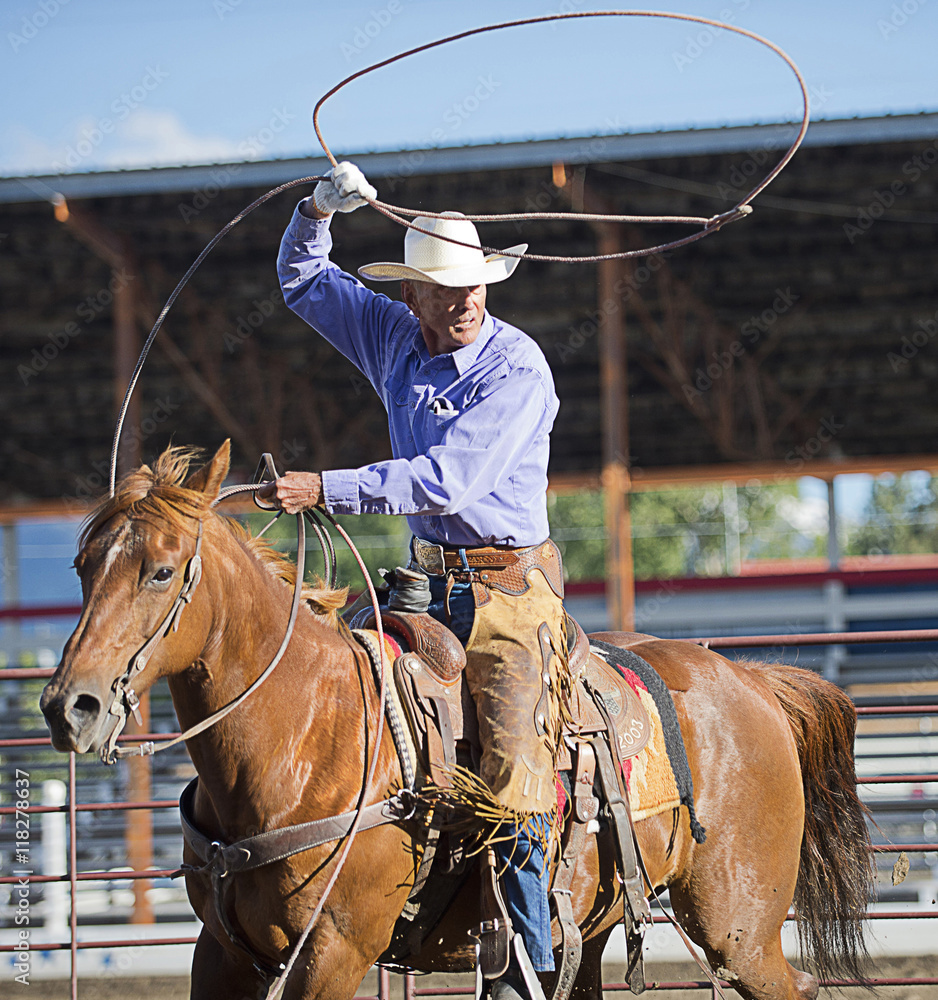 Older Caucasian cowboy throwing lasso at rodeo Stock Photo | Adobe Stock
