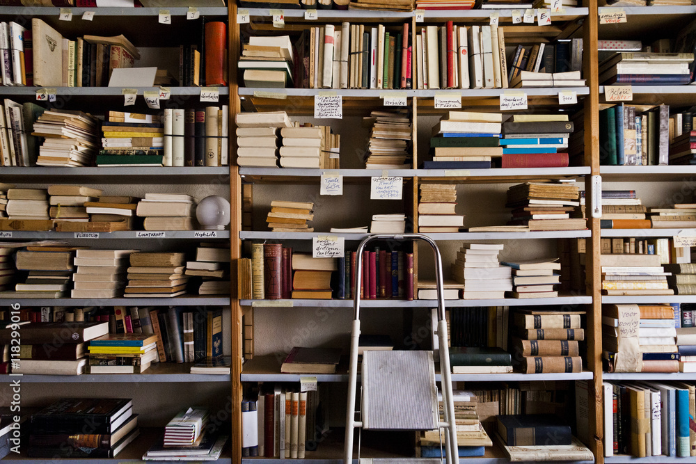 Stepladder by bookshelves in library Stock Photo | Adobe Stock