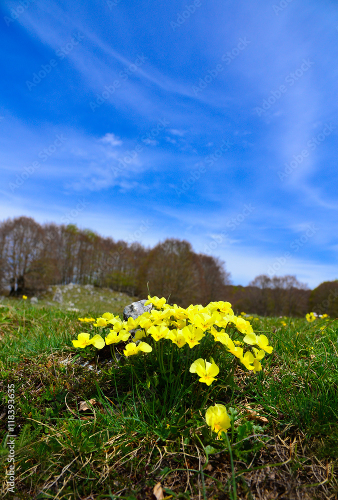 The Monti Simbruini - A mountain range in central Italy (Lazio and ...