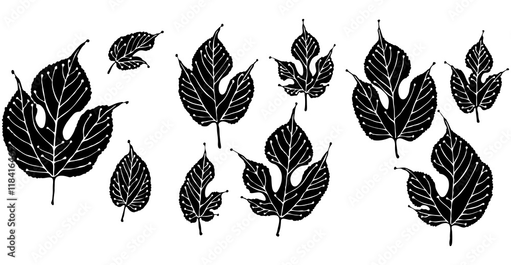 Mulberry tree leaves, solid with stylized veining vector art ...
