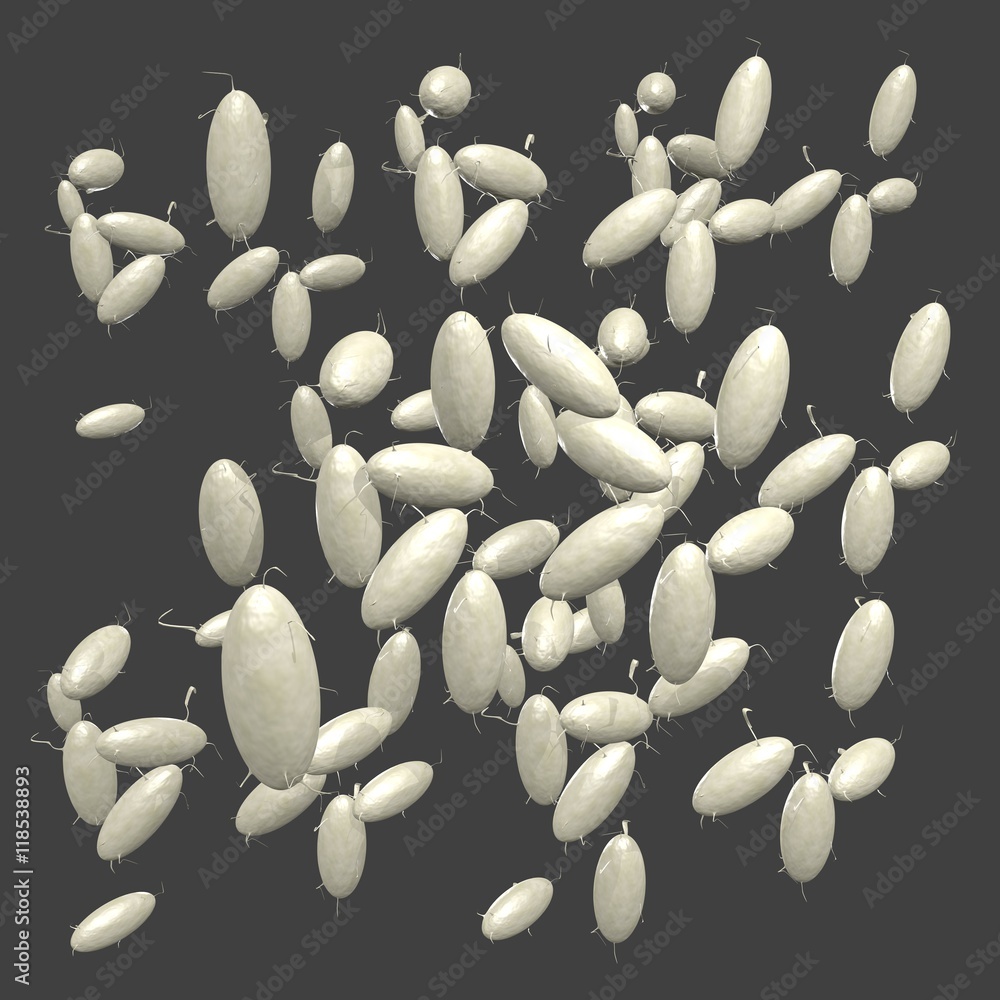 listeria bacterium, 3D rendering Stock Illustration | Adobe Stock