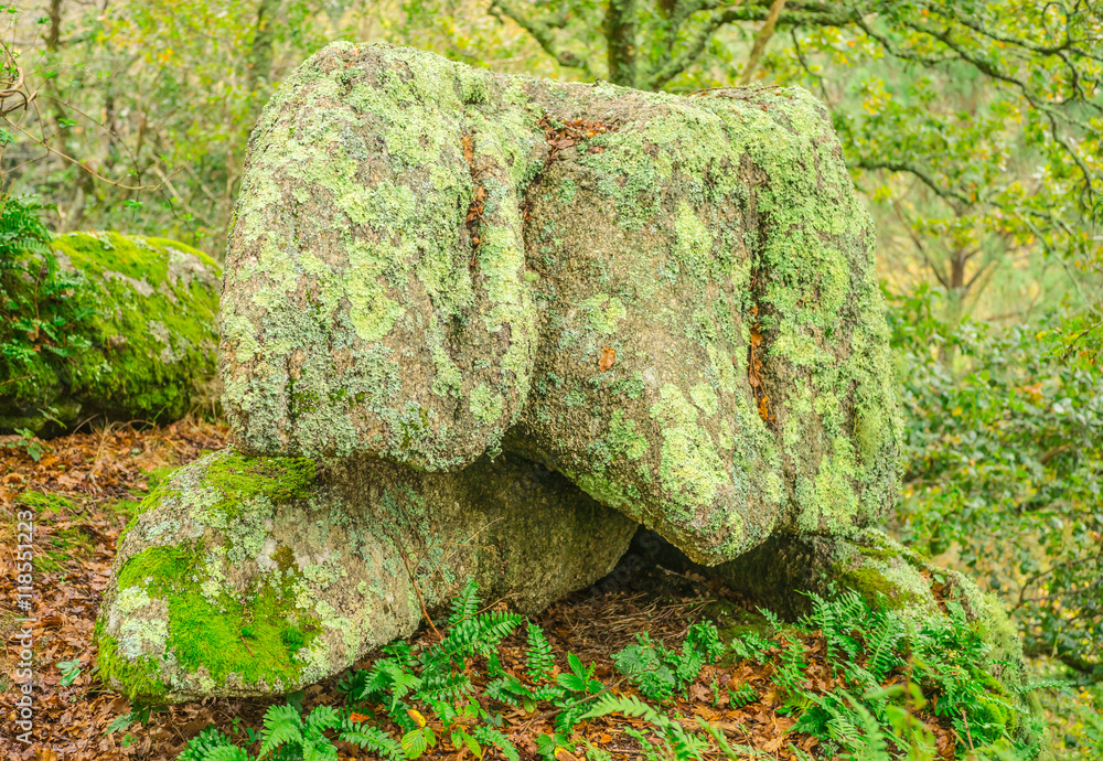 Rocher en forme de poing dans la forêt de Moëlan sur Mer en Bretagne ...
