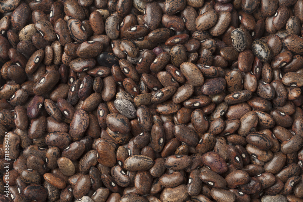 Dried Moro beans Stock Photo | Adobe Stock