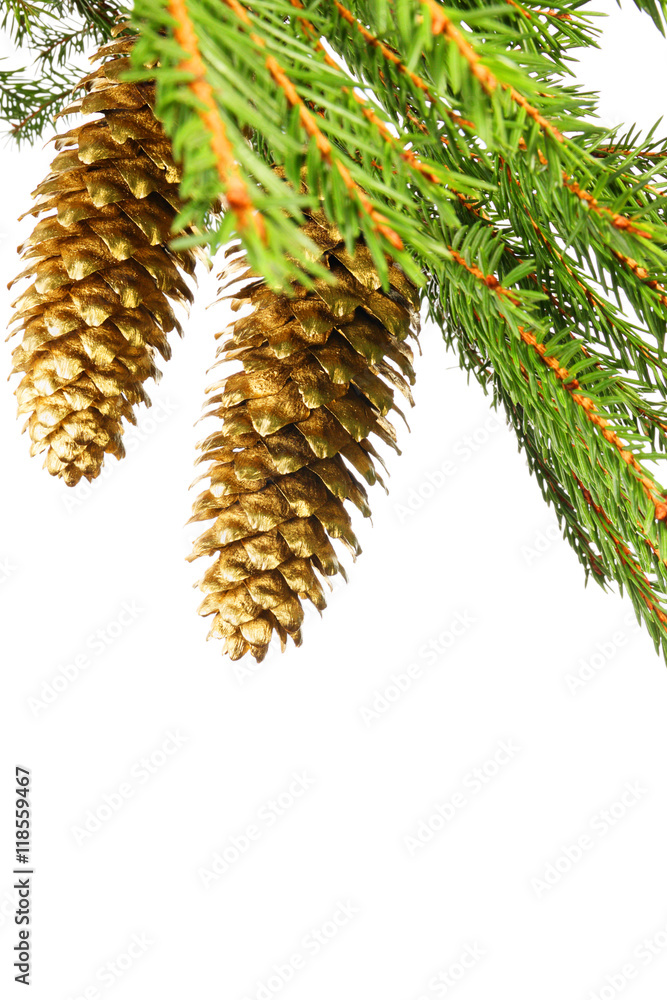 Gold cones Stock Photo | Adobe Stock