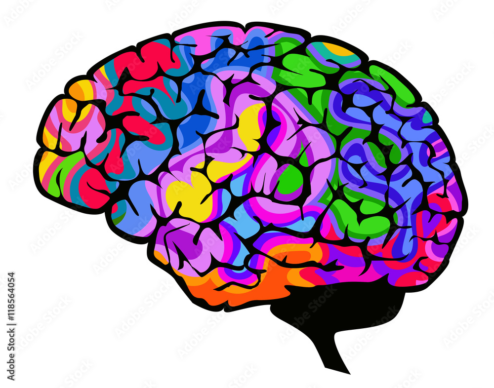 Colourful Brain Stock Vector | Adobe Stock