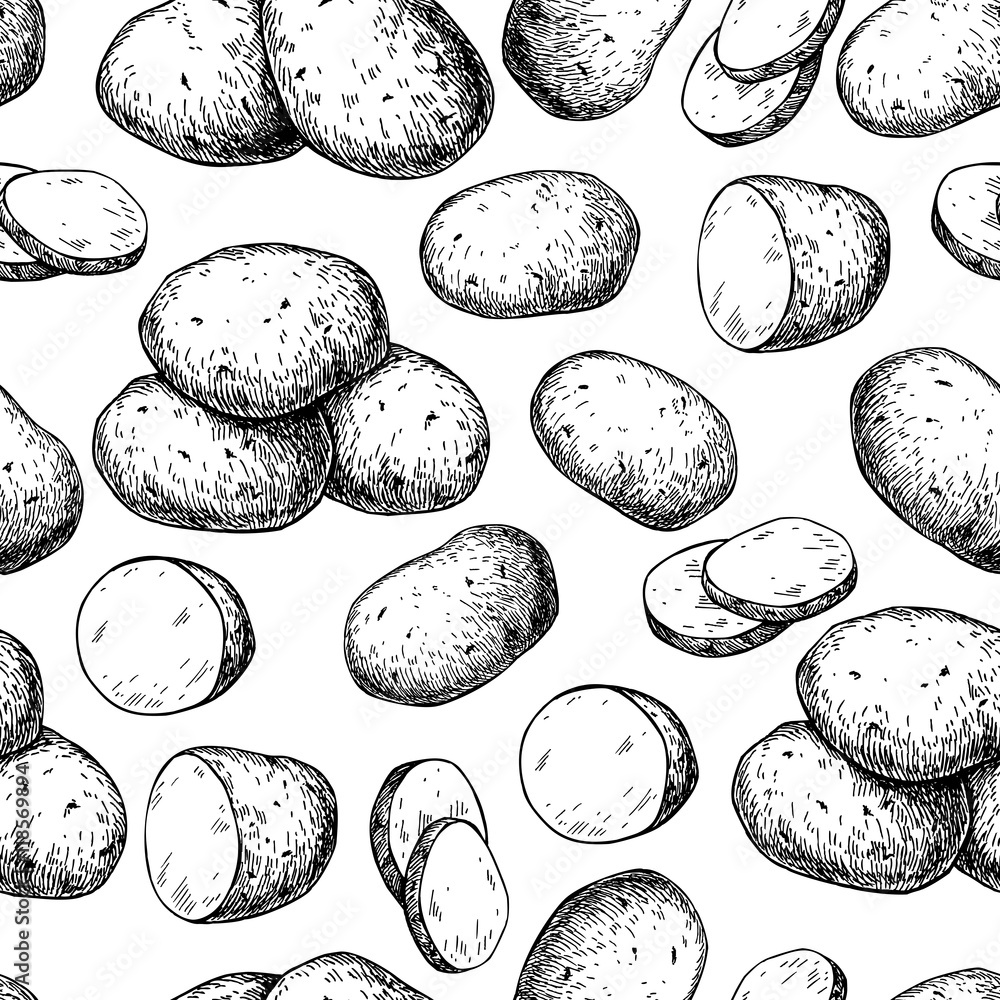 Potato vector seamless pattern. Hand drawn food background. Stock ...