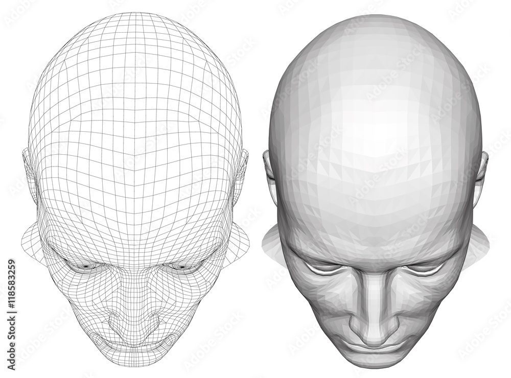 Polygonal head Stock Vector | Adobe Stock