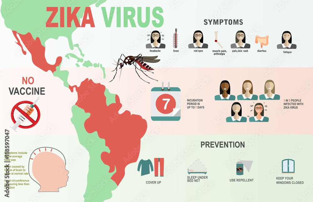 Infographic Zika