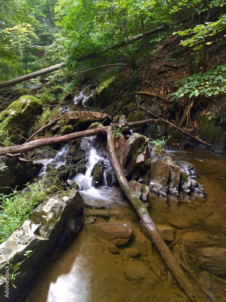 Stream and waterfalls in the forest Stock Photo | Adobe Stock