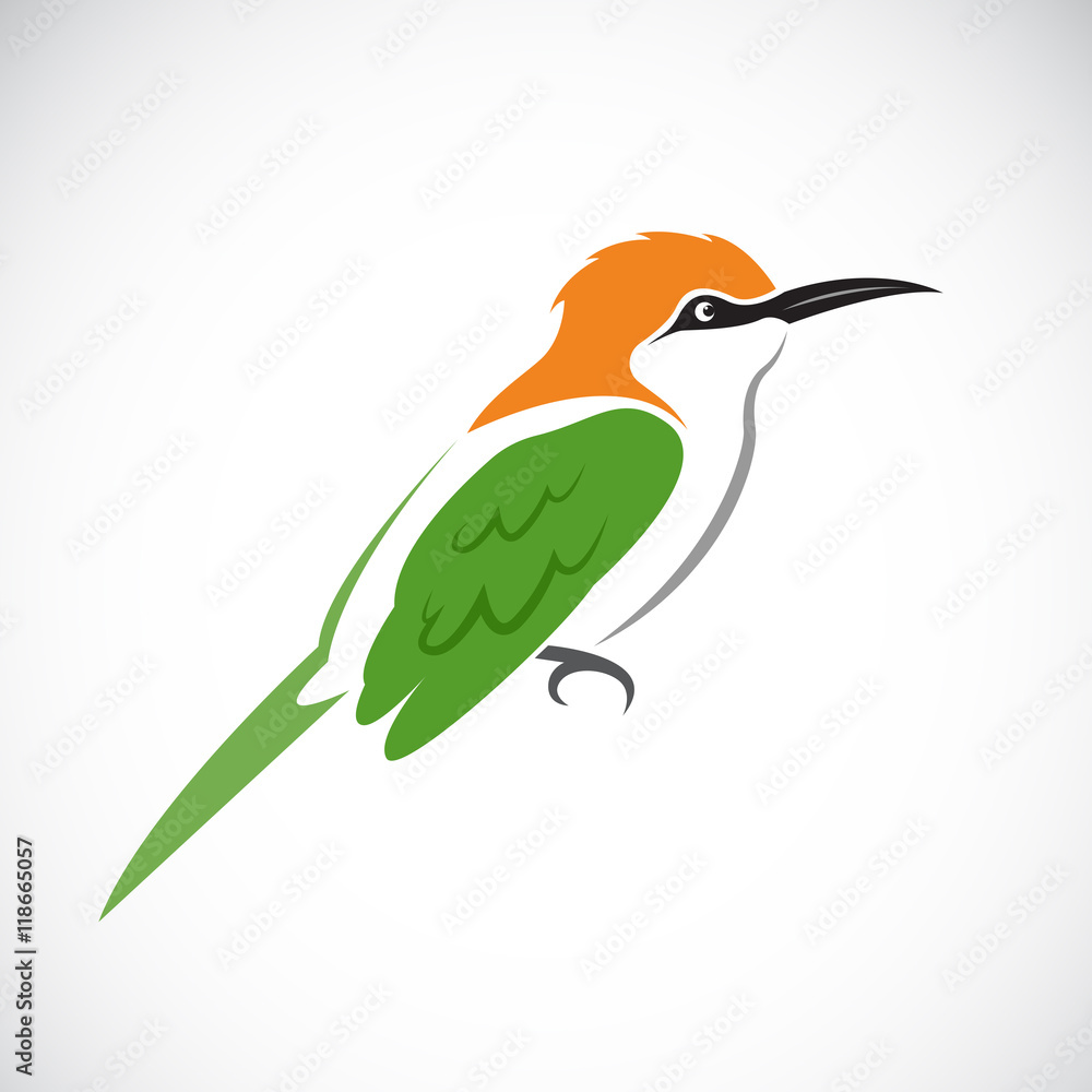 Vector of bird on white background. Green Bee-eater Stock Vector ...