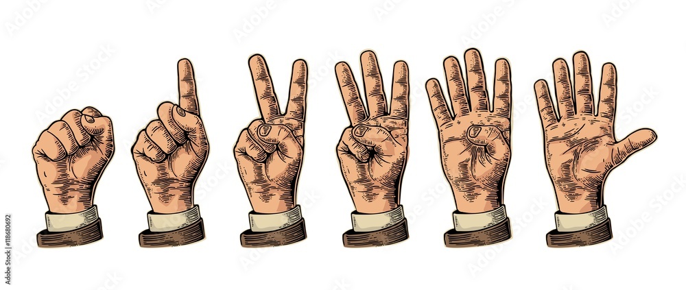 Set of gestures of hands counting from zero to five. Male Hand sign ...