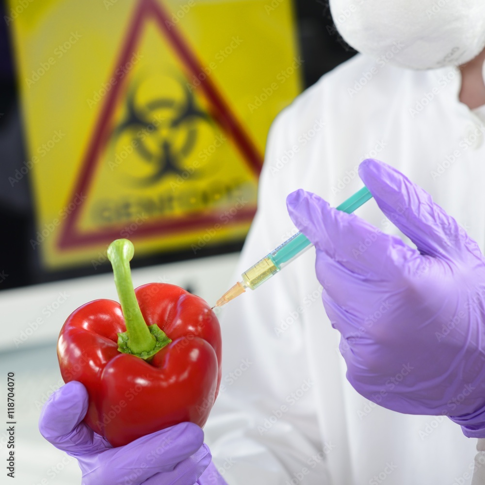 Gentechnik im Labor Genfood Lebensmittel Stock-Foto | Adobe Stock