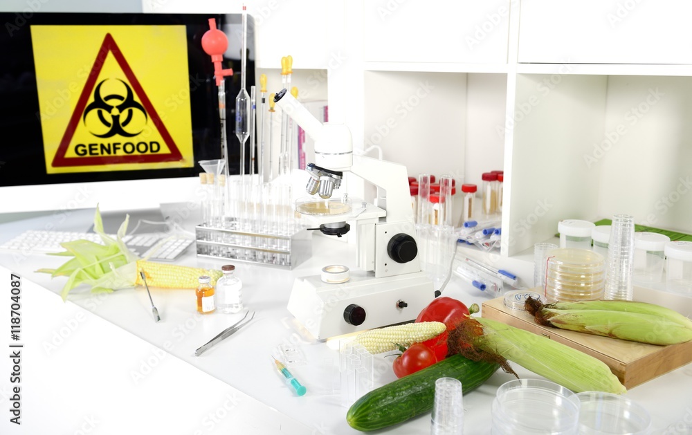 Gentechnik im Labor Genfood Lebensmittel Stock-Foto | Adobe Stock