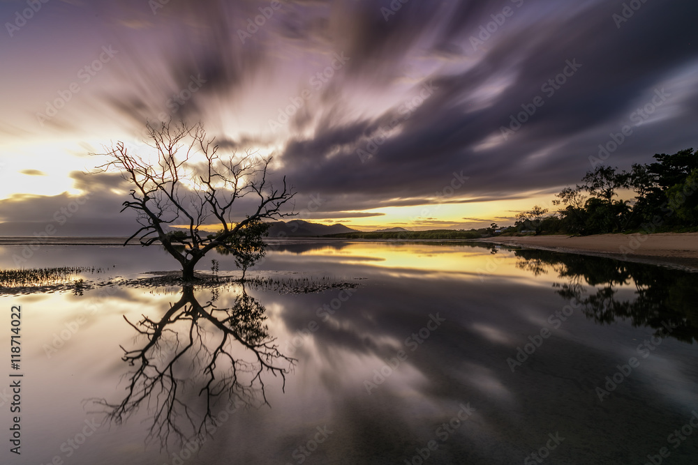 Tree Reflections Stock Photo | Adobe Stock