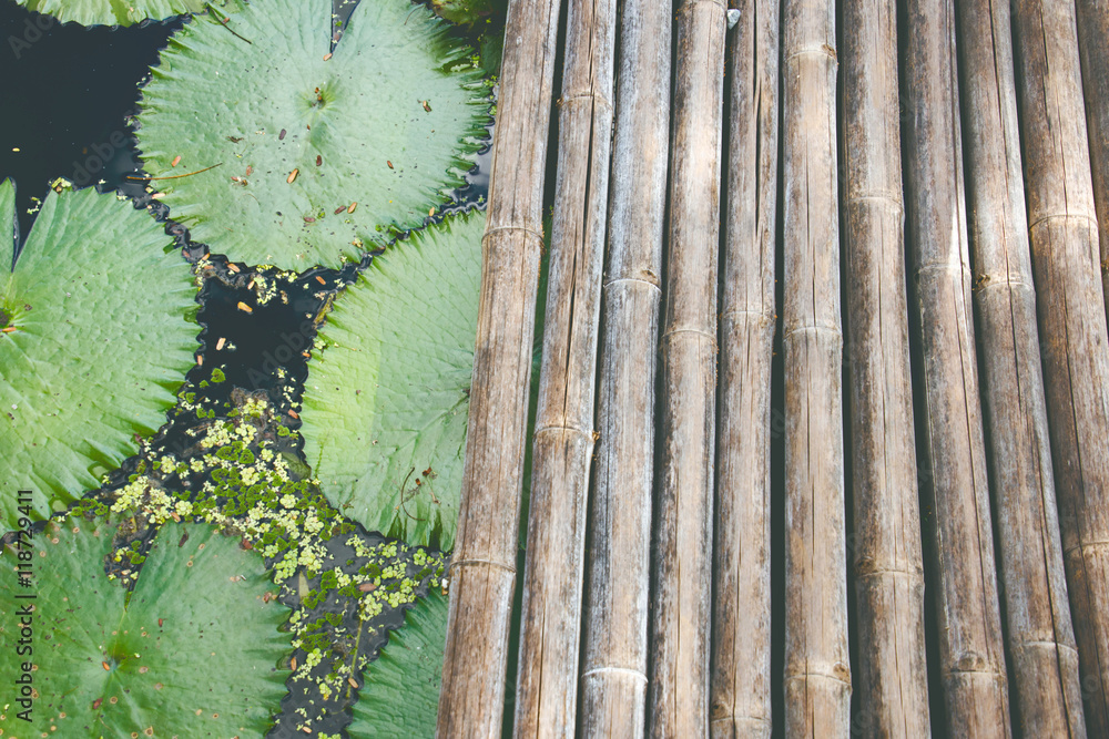 Bamboo Wooden Bridge in Water Lily Swamp Stock-Foto | Adobe Stock
