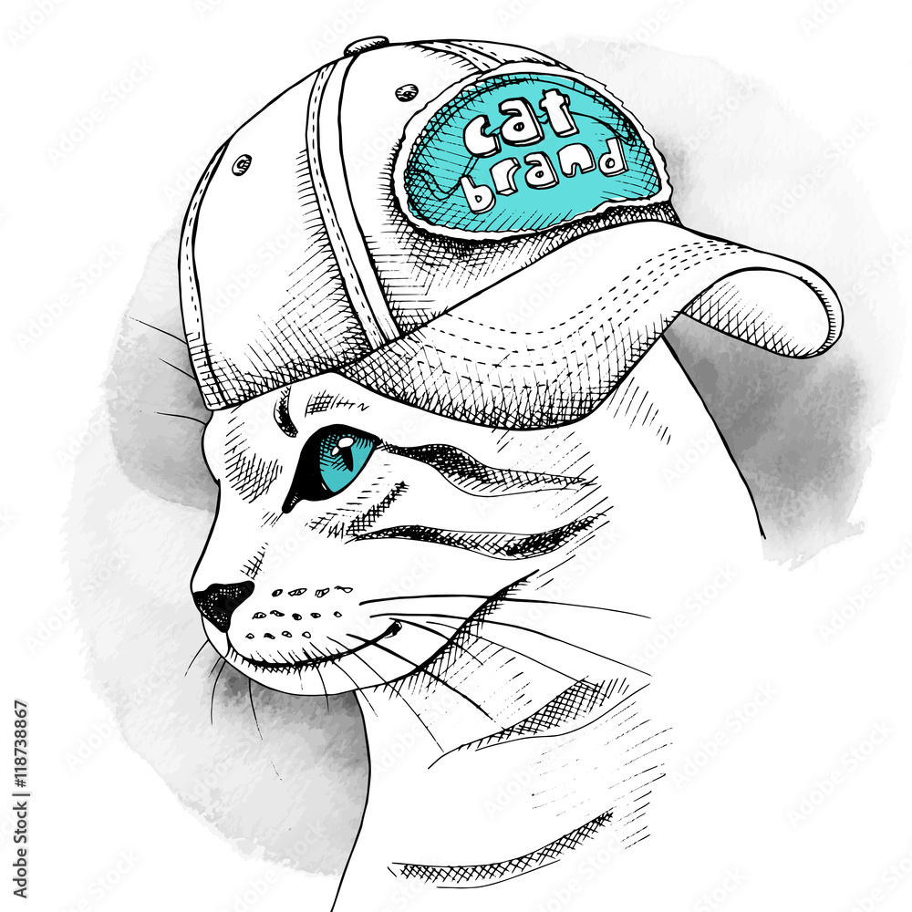 Image cat portrait in a cap. Vector illustration. Stock Vector | Adobe ...