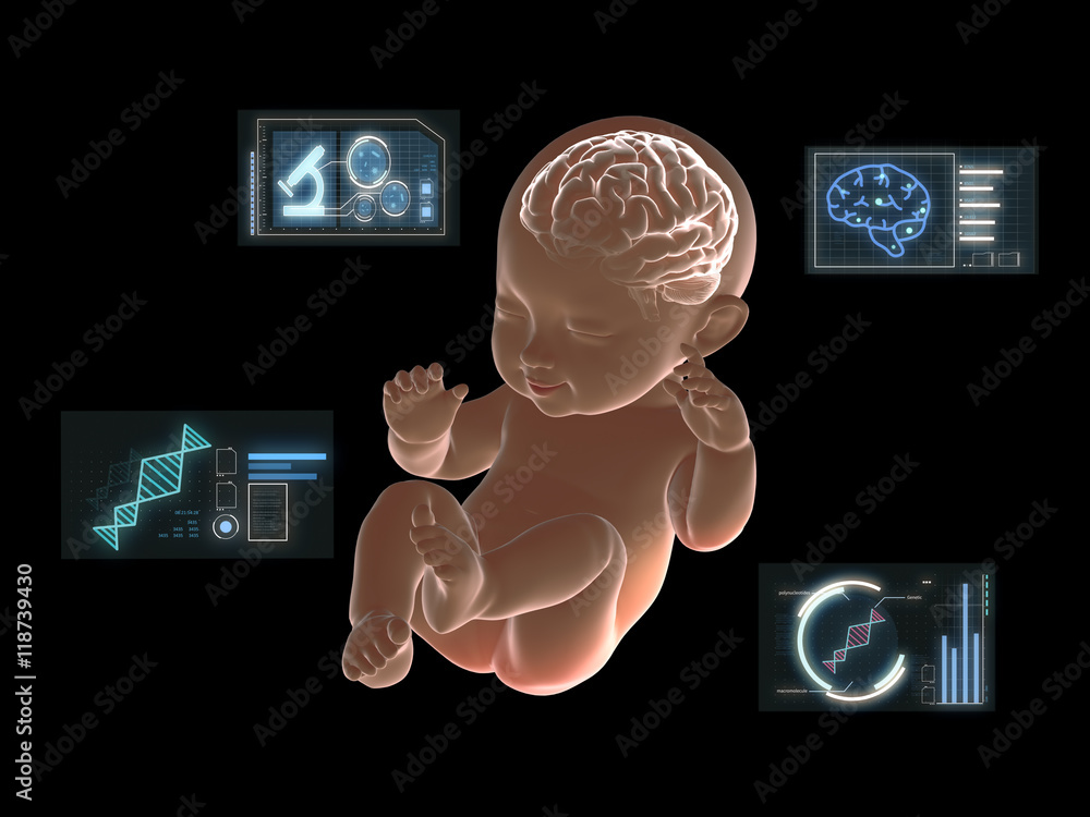 Brain of baby x-ray graphic with graphics research on screen.3D ...