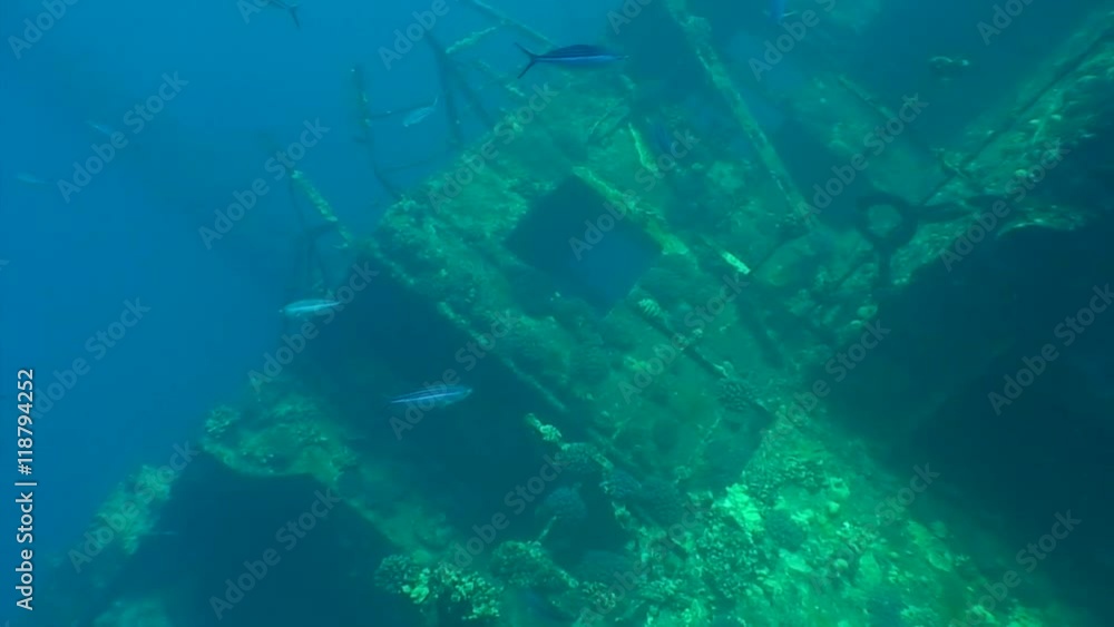 The Giannis D wreck wreck diving Egypt scuba diving red sea divers ...