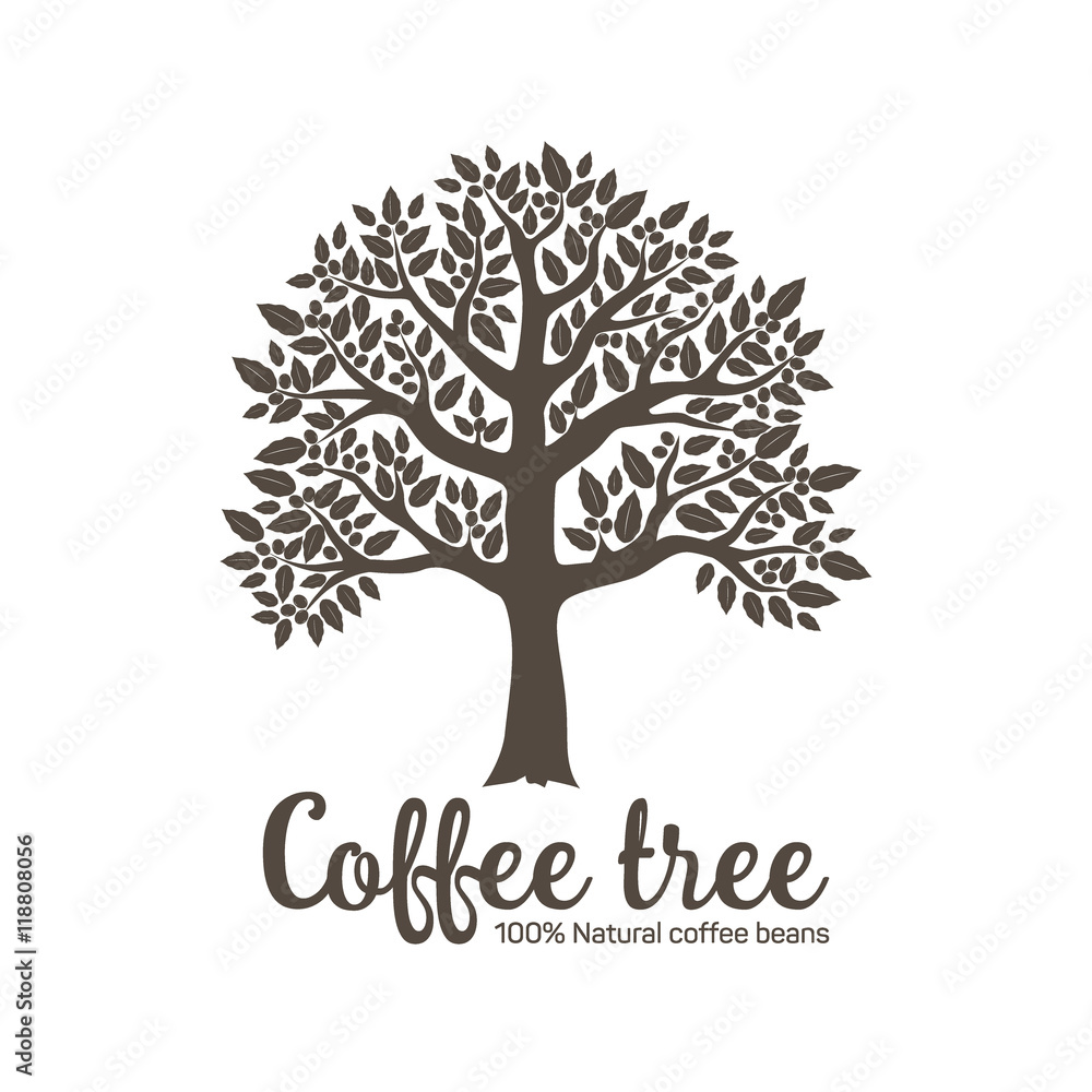 Hand drawn graphic tree with coffee beans. Vector illustration for ...