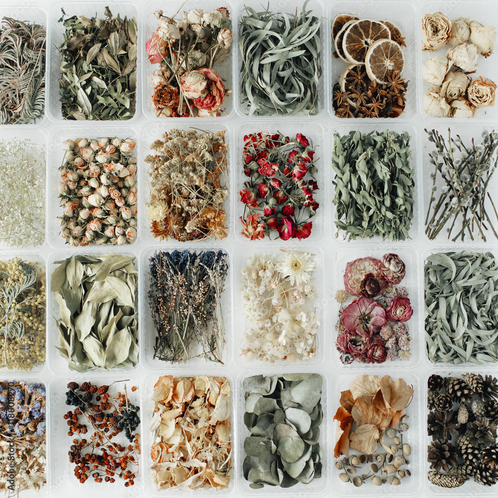 Various of dried tea flowers, leaves and petals in boxes on white. flat ...