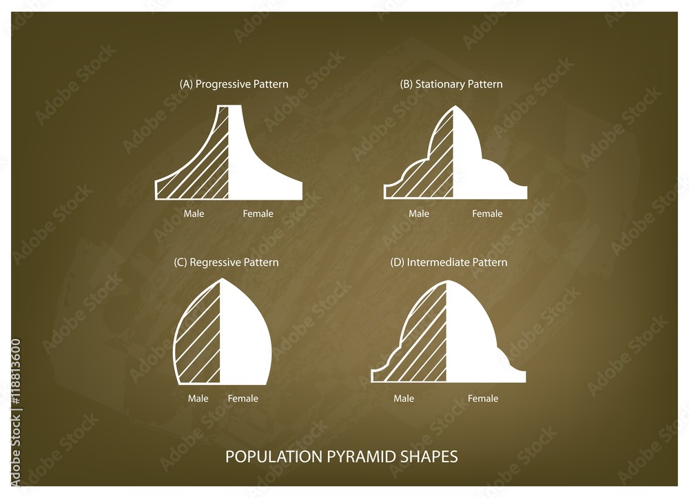 Four Types of Population Pyramids on Chalkboard Background Stock Vector ...