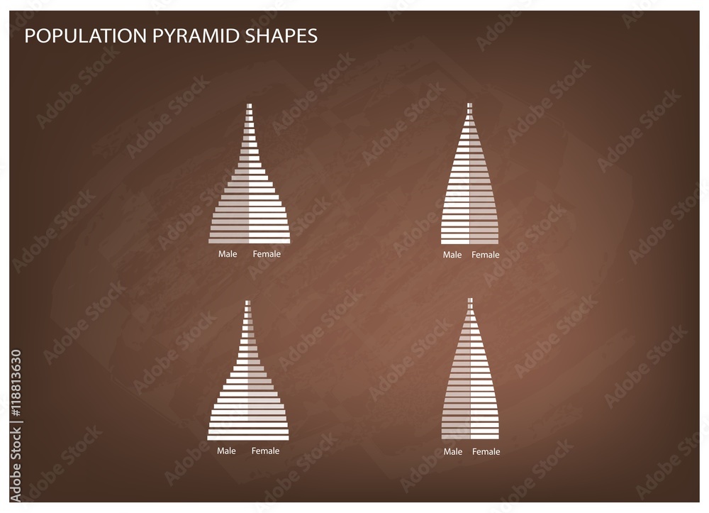 The 4 Types of Population Pyramids Graphs Stock Vector | Adobe Stock