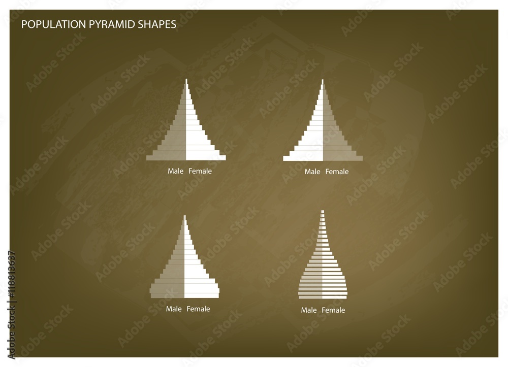The 4 Types of Population Pyramids Graphs Stock Vector | Adobe Stock